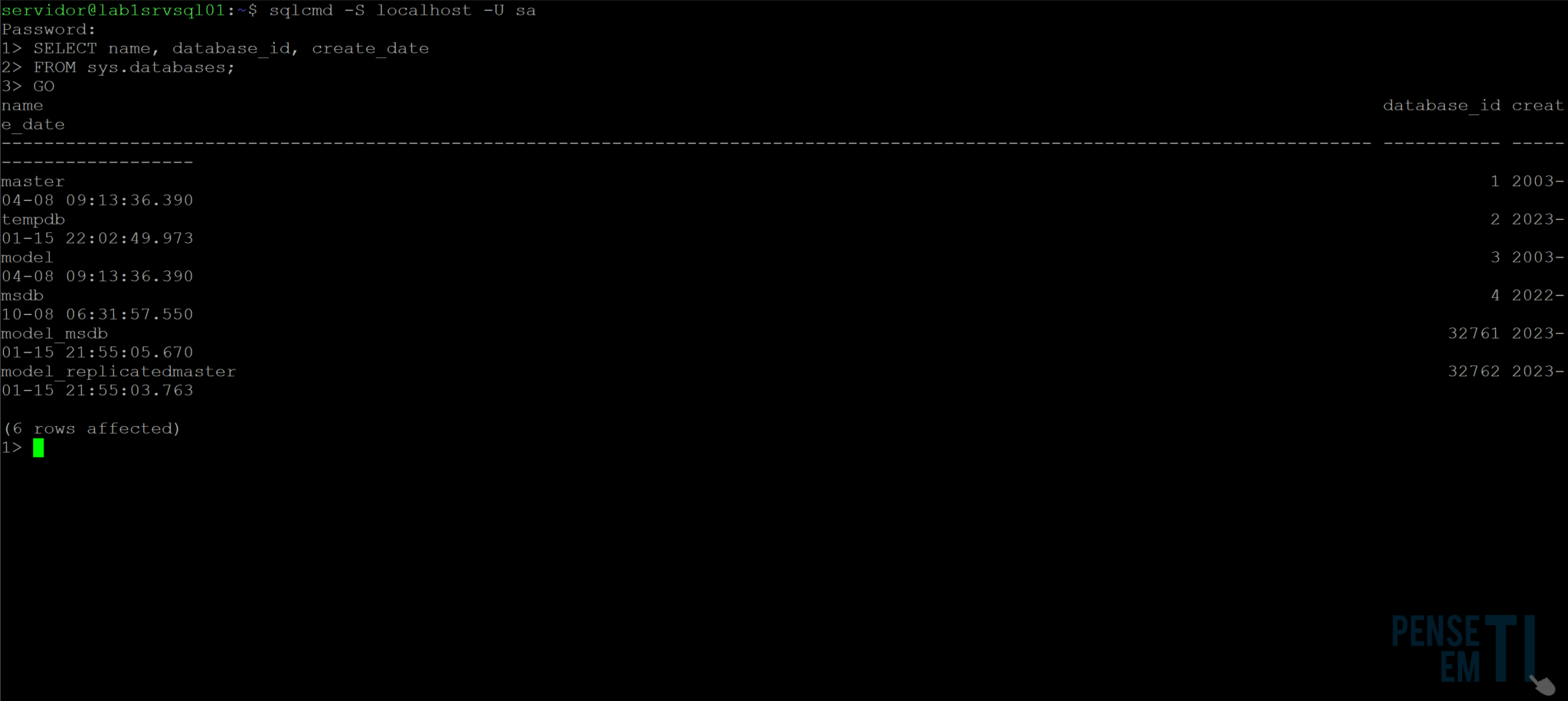 Instalação Microsoft SQL Server no Linux - Pense em TI