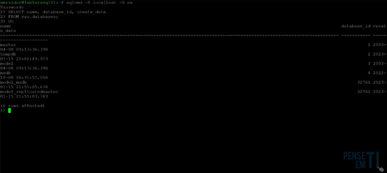 Instalação Microsoft SQL Server no Linux - Pense em TI