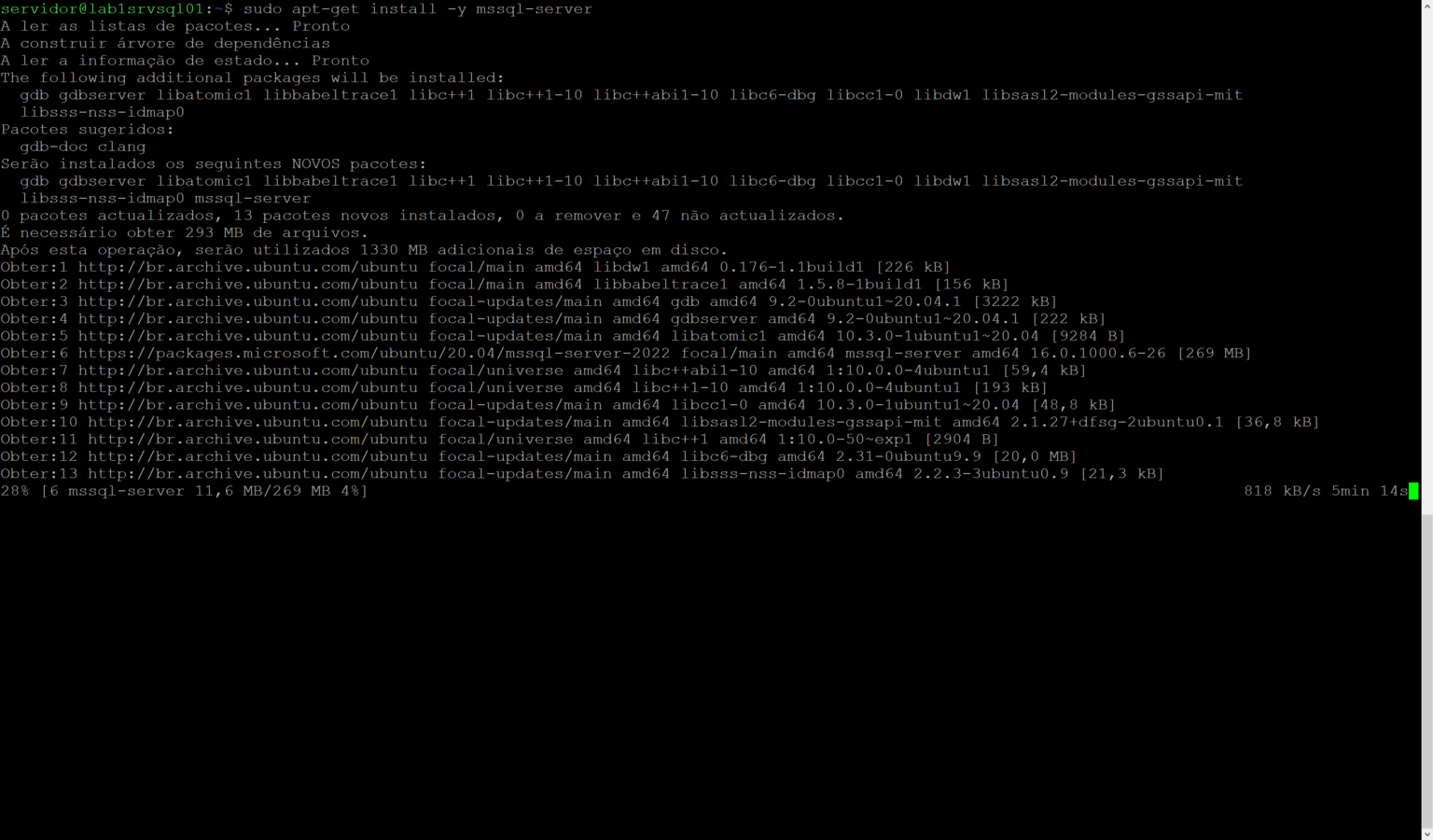 Instalação Microsoft SQL Server no Linux - Pense em TI