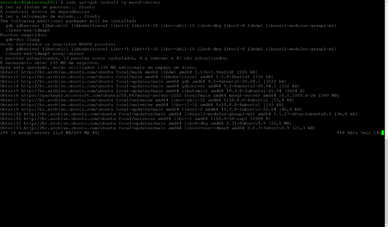 Instalação Microsoft SQL Server no Linux - Pense em TI