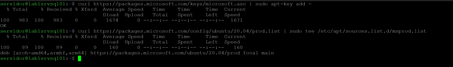 Instalação Microsoft SQL Server no Linux - Pense em TI
