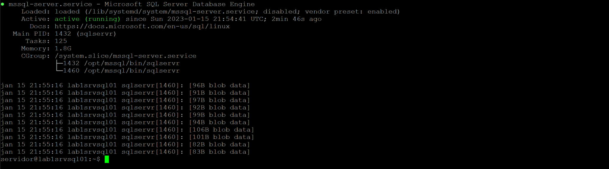 Instalação Microsoft SQL Server no Linux