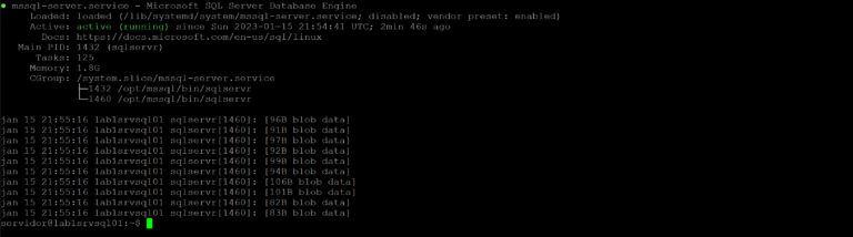 Instalação Microsoft SQL Server no Linux - Pense em TI